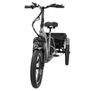 Triker Folding 3 Wheels Electric Bike – actbest