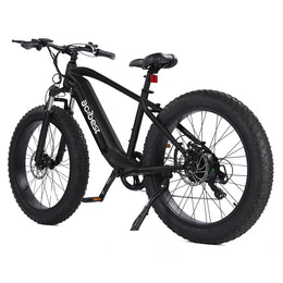 Ranger All-Terrain Mountain Ebike – actbest